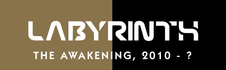 Review: Labyrinth: The Awakening, 2010-? by GMT Games – The Players' Aid