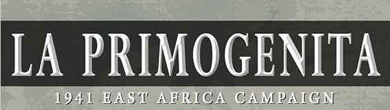 Interview with Kim Kanger Designer of La Primogenita: 1941 East Africa ...