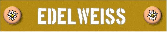 Werwolf: Insurgency in Occupied Germany, 1945-1948 from Legion Wargames ...