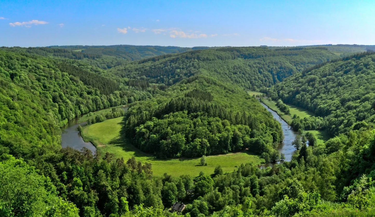 The Beautiful Boards of Wargaming! – Ardennes ’44: The Battle of the ...